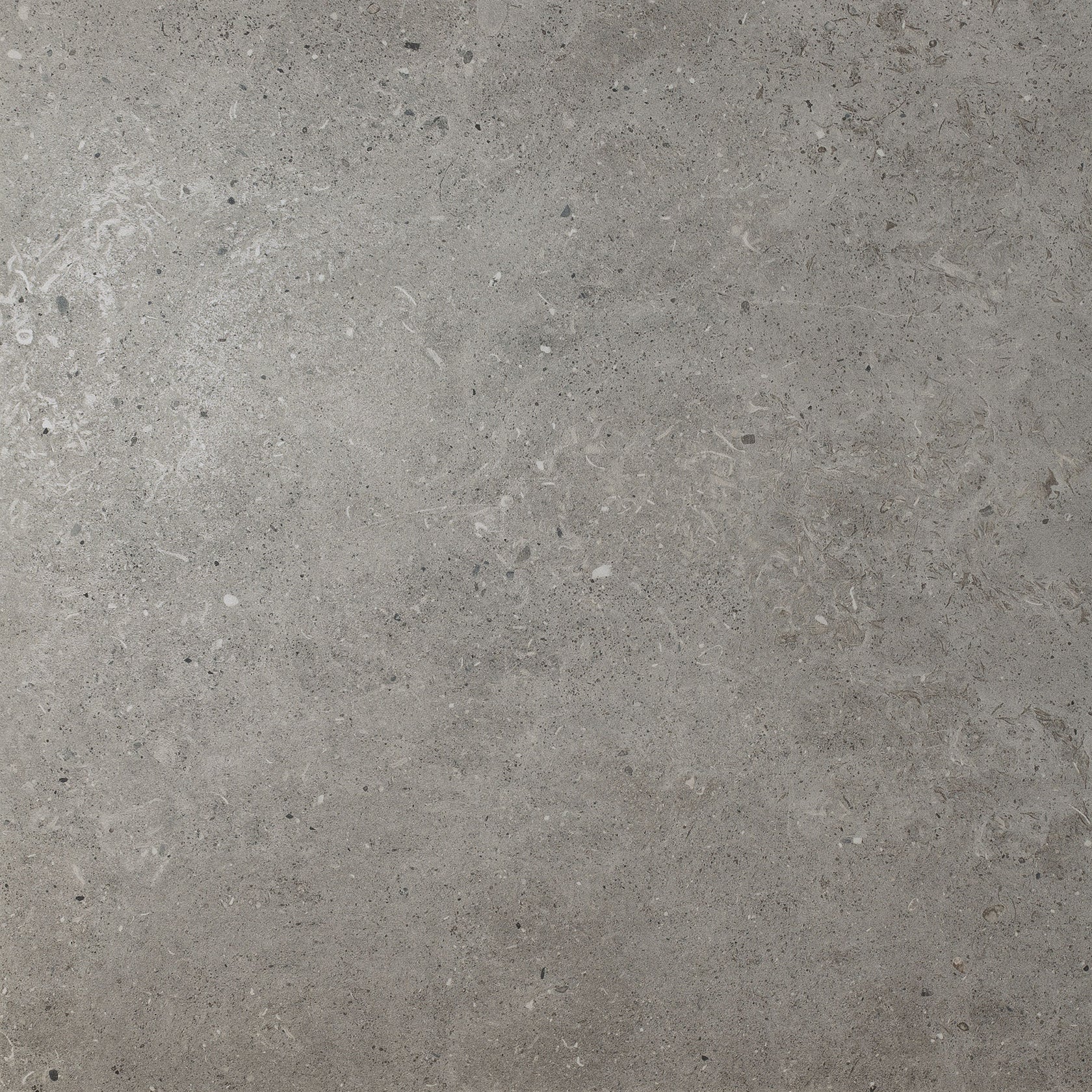 Bera & Beren | Halo Tiles & Bathrooms
