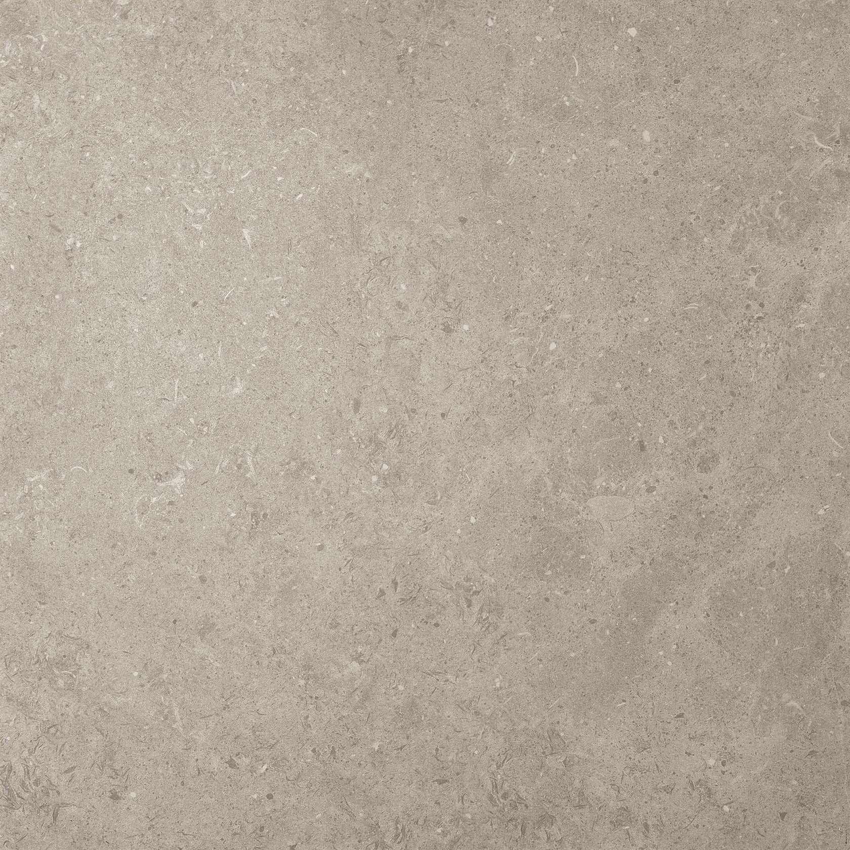Bera & Beren | Halo Tiles & Bathrooms